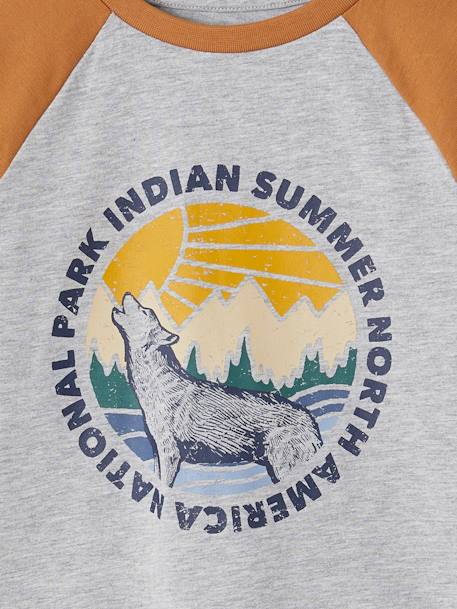 Boys' Tops - Boys T-shirts, Long and Short Sleeved - vertbaudet